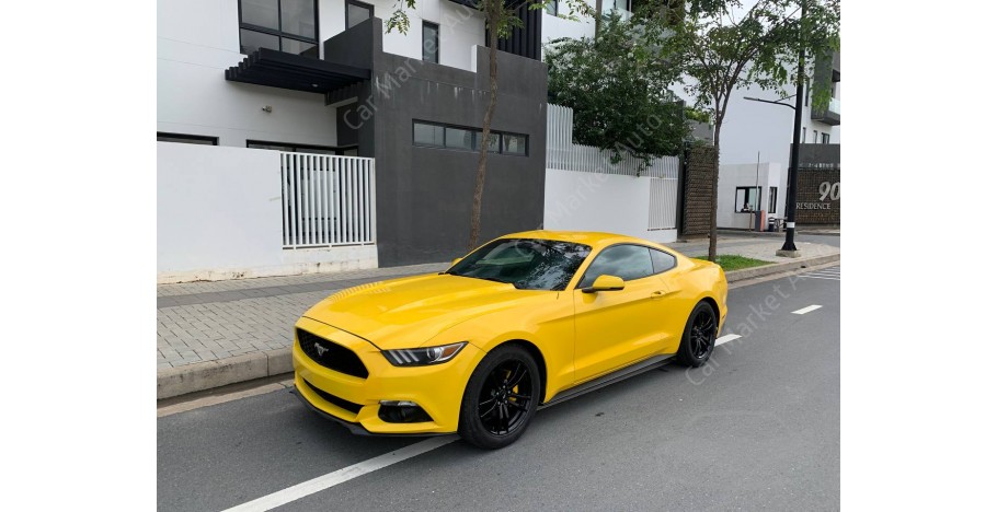 S.P Car Market