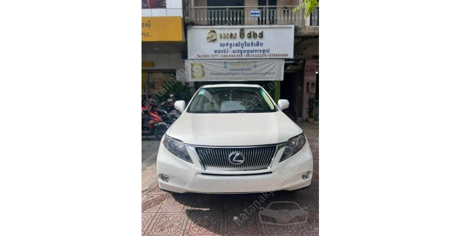 S.P Car Market